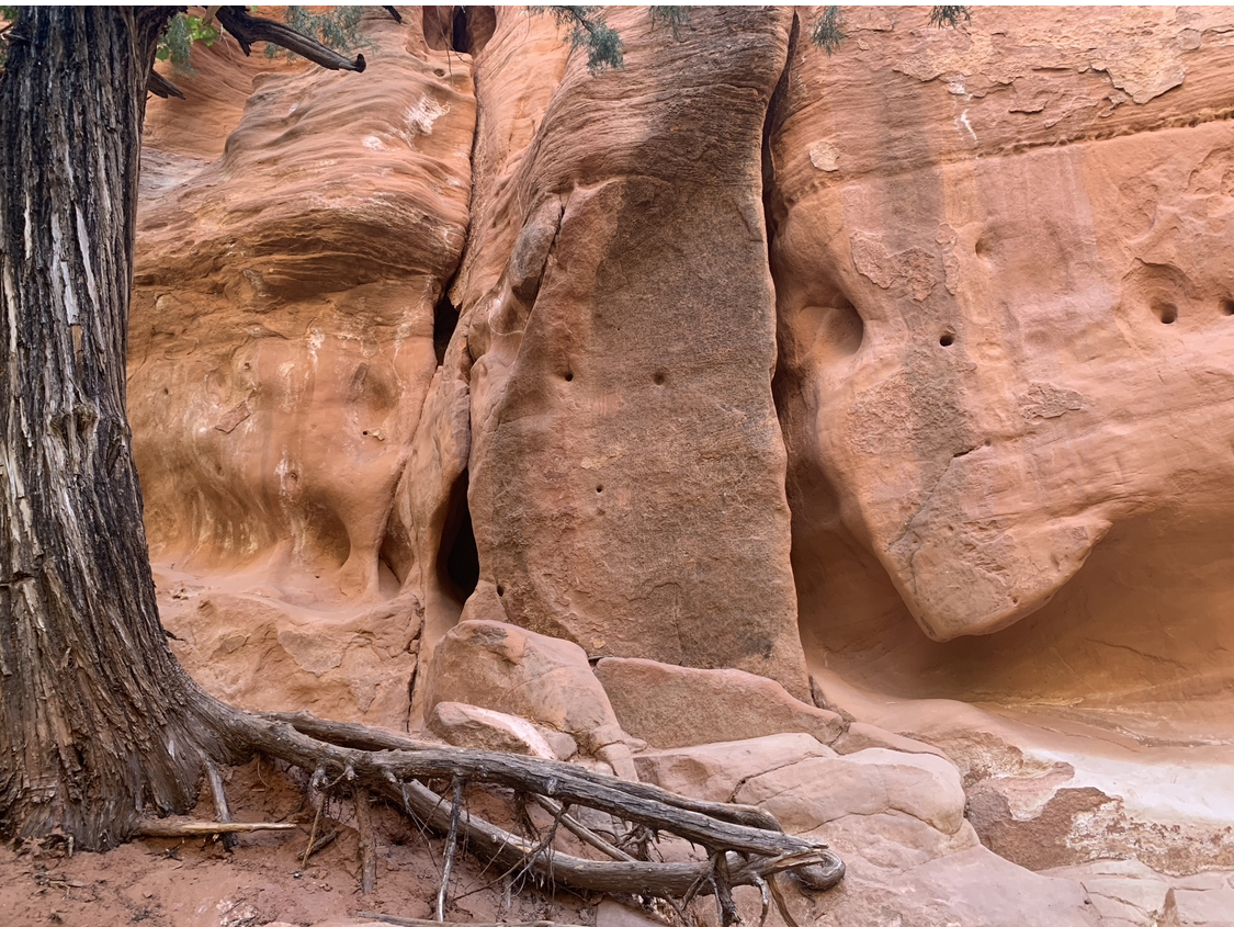 Summer Road Trip: Utah, Idaho, and Oregon - Lucy Knows Things