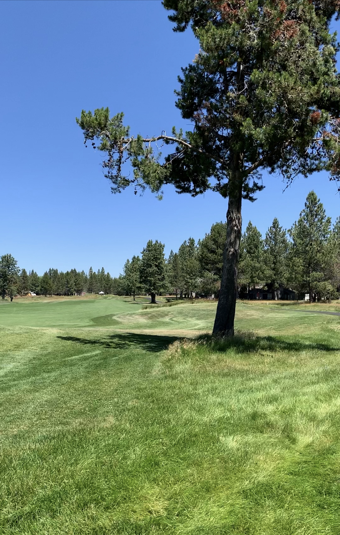 Summer Road Trip: Utah, Idaho, and Oregon - Lucy Knows Things